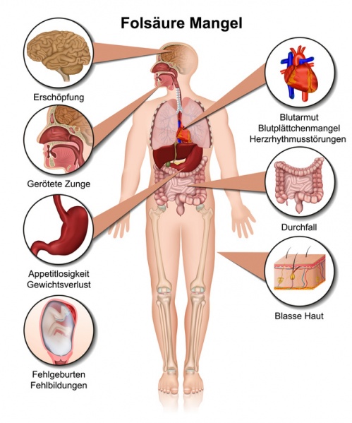 Datei:Folsäure.jpg - Gesundheits-Ratgeber & Lexikon | Gesundpedia.de